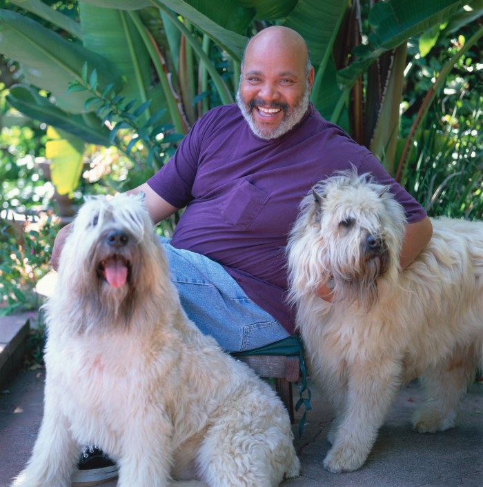 Uncle Phil from ‘The Fresh Prince of Bel-Air’ may be the best TV dad in ...