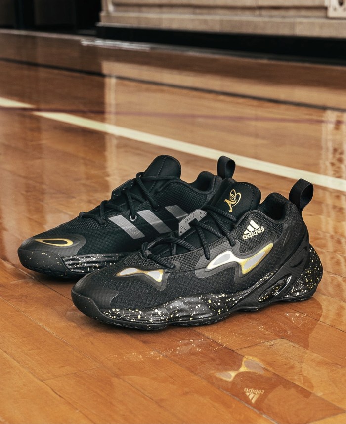 The complete history of signature sneakers in the WNBA — Andscape